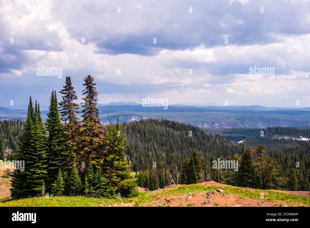 Mountain forest with distant horizon and dramatic cloud-covered skies ...