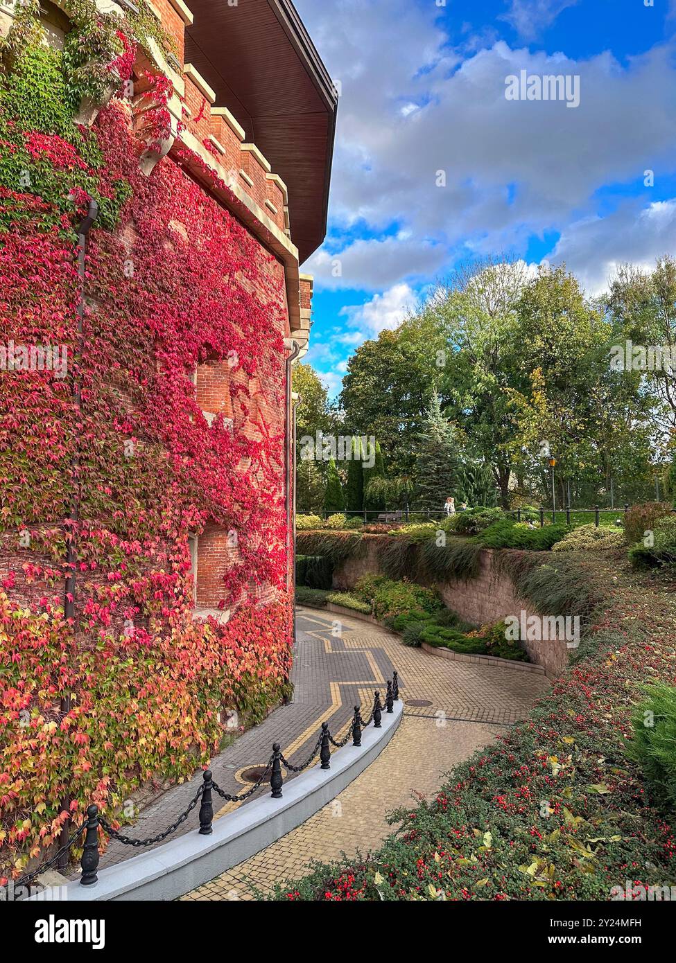 Family ivy nature building hi-res stock photography and images - Alamy
