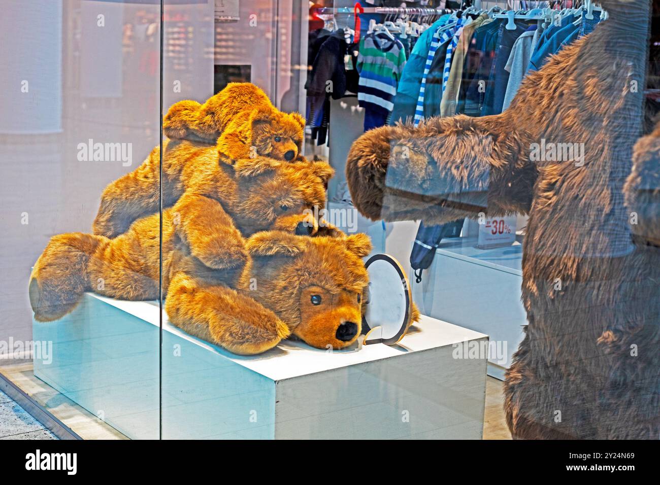 Toy bears in a shop window with clothes in a supermarket. Advertisement ...