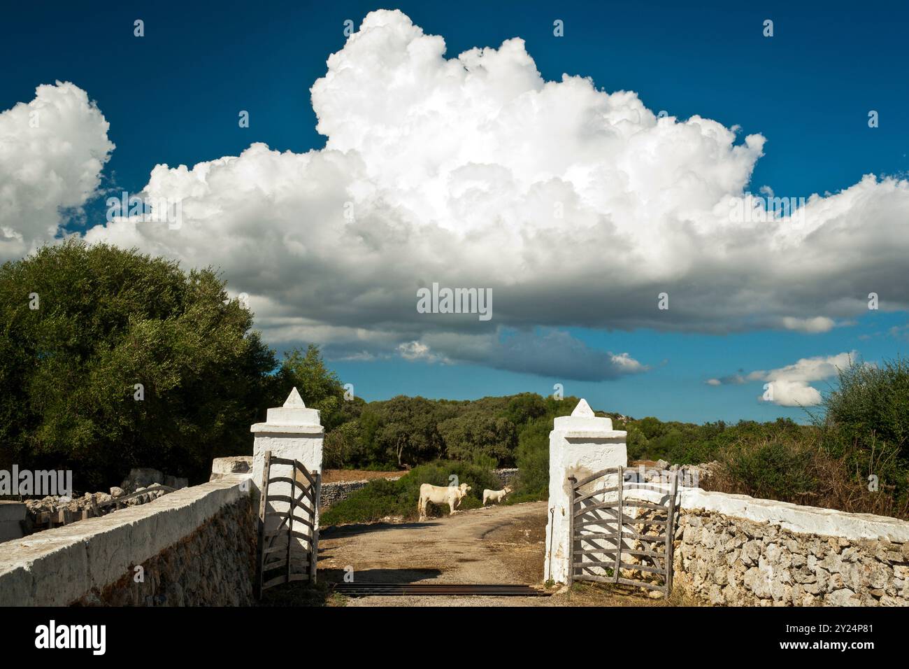Turistico farm hi-res stock photography and images - Alamy