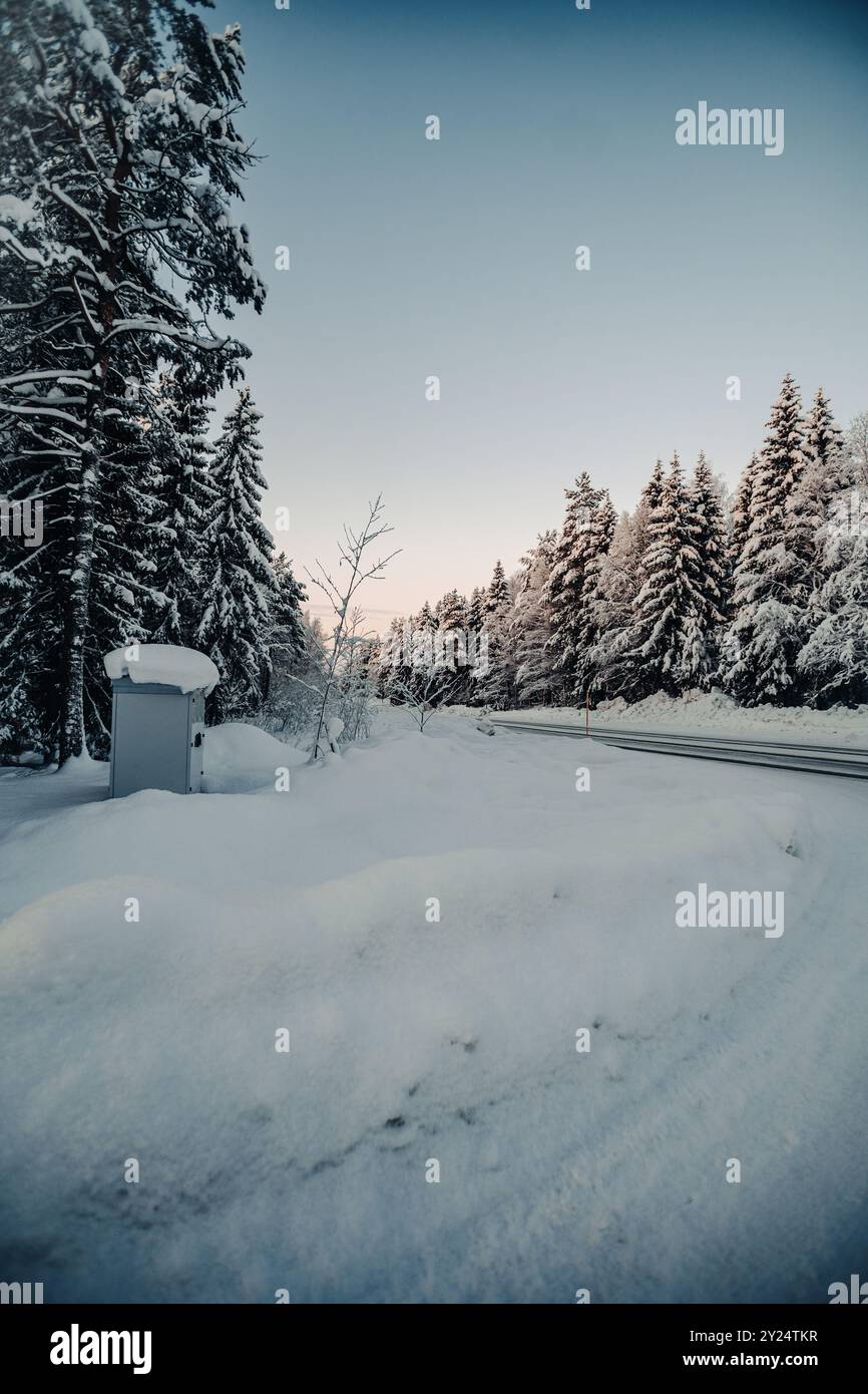 Post box in snow next to road through forest in winter in Rovaniemi ...