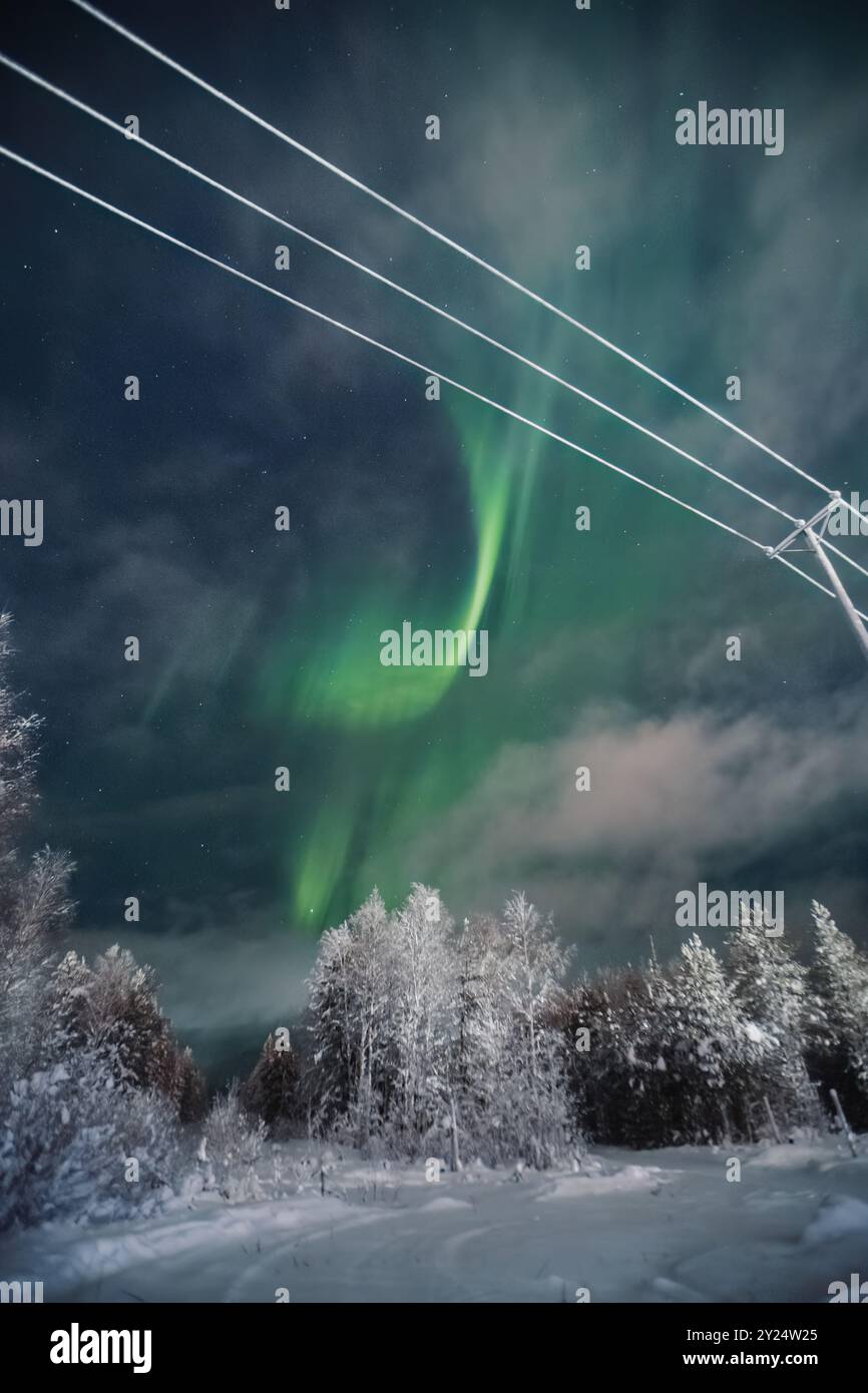 Northern lights green explosion above snowy forest in Rovaniemi ...