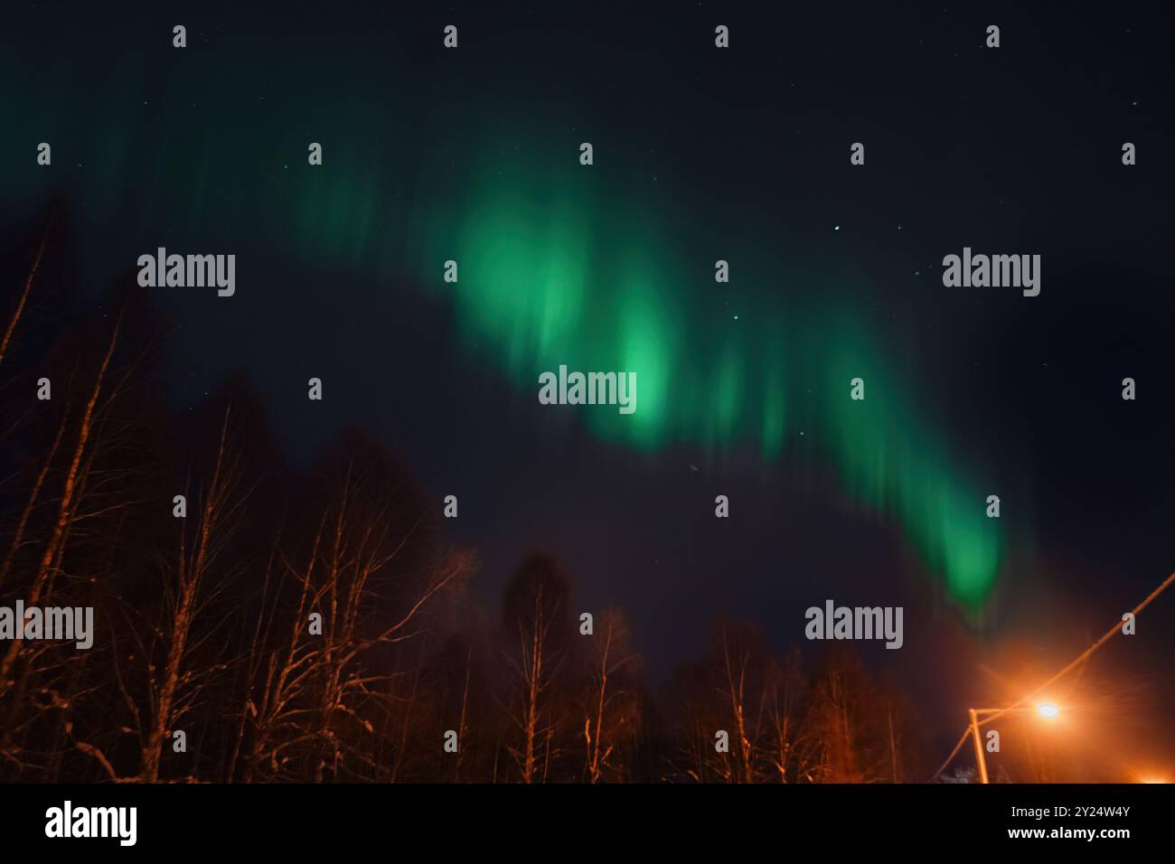 Strong green northern lights over forest and street in Rovaniemi ...