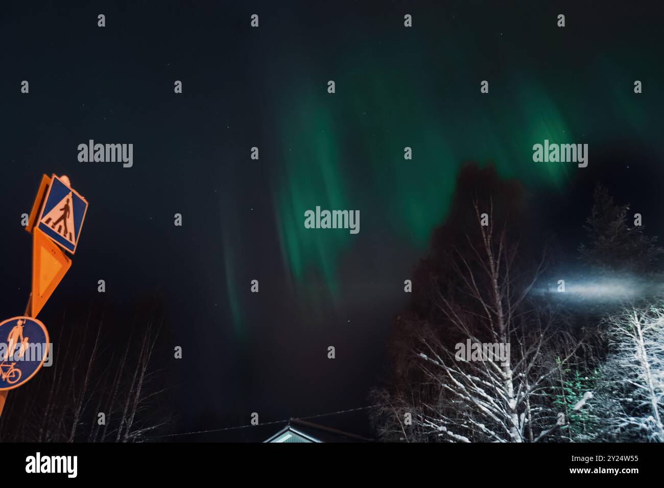 Strong green northern lights over trees and street sign in Rovaniemi ...