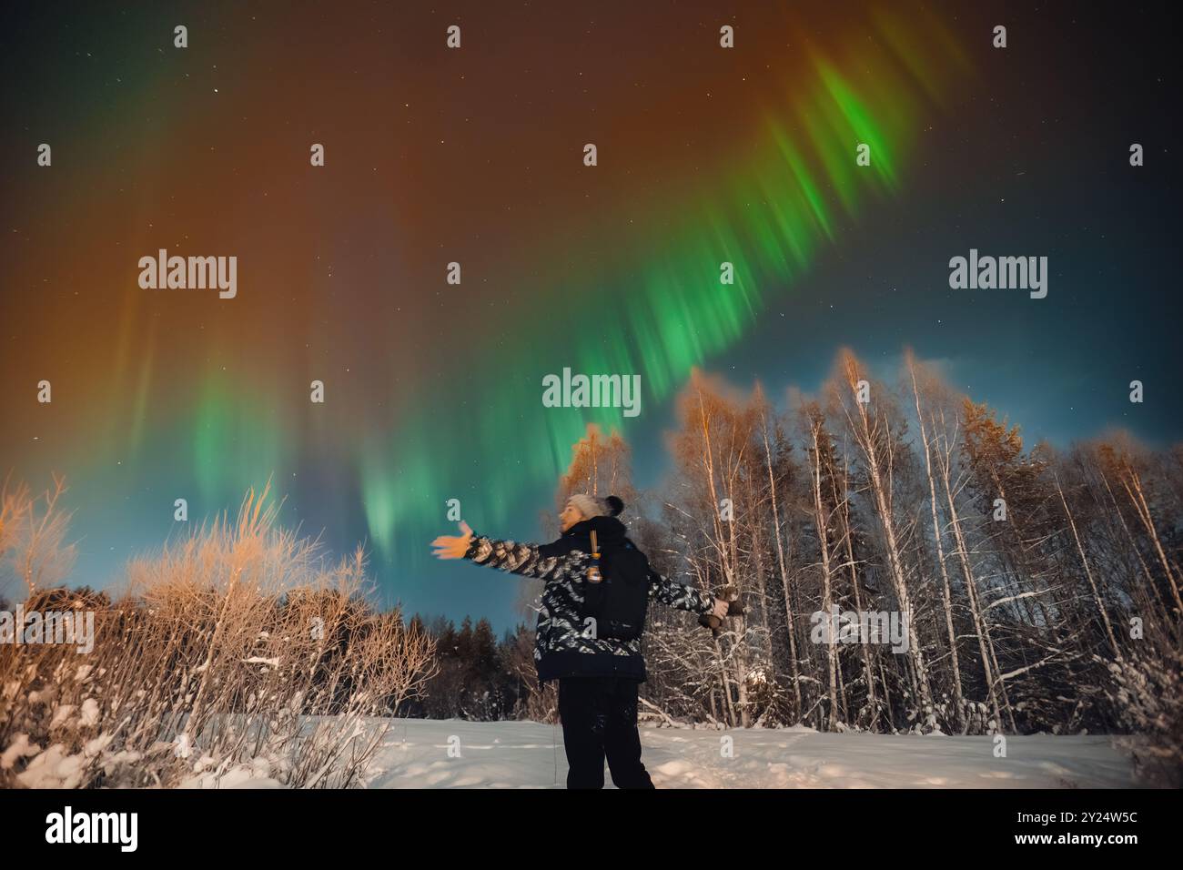 Man in snowy field watching strong northern lights in Rovaniemi ...
