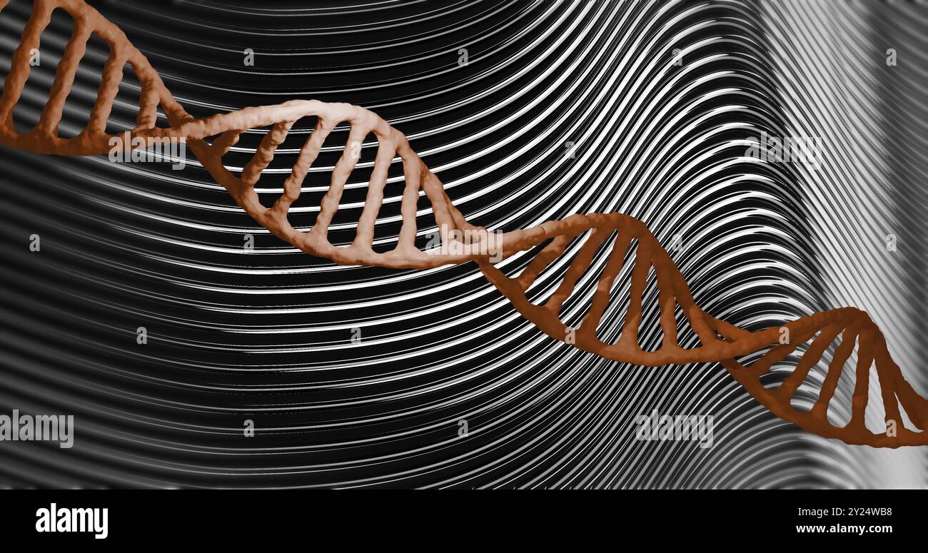 DNA strand over black and white wavy lines, scientific concept Stock ...