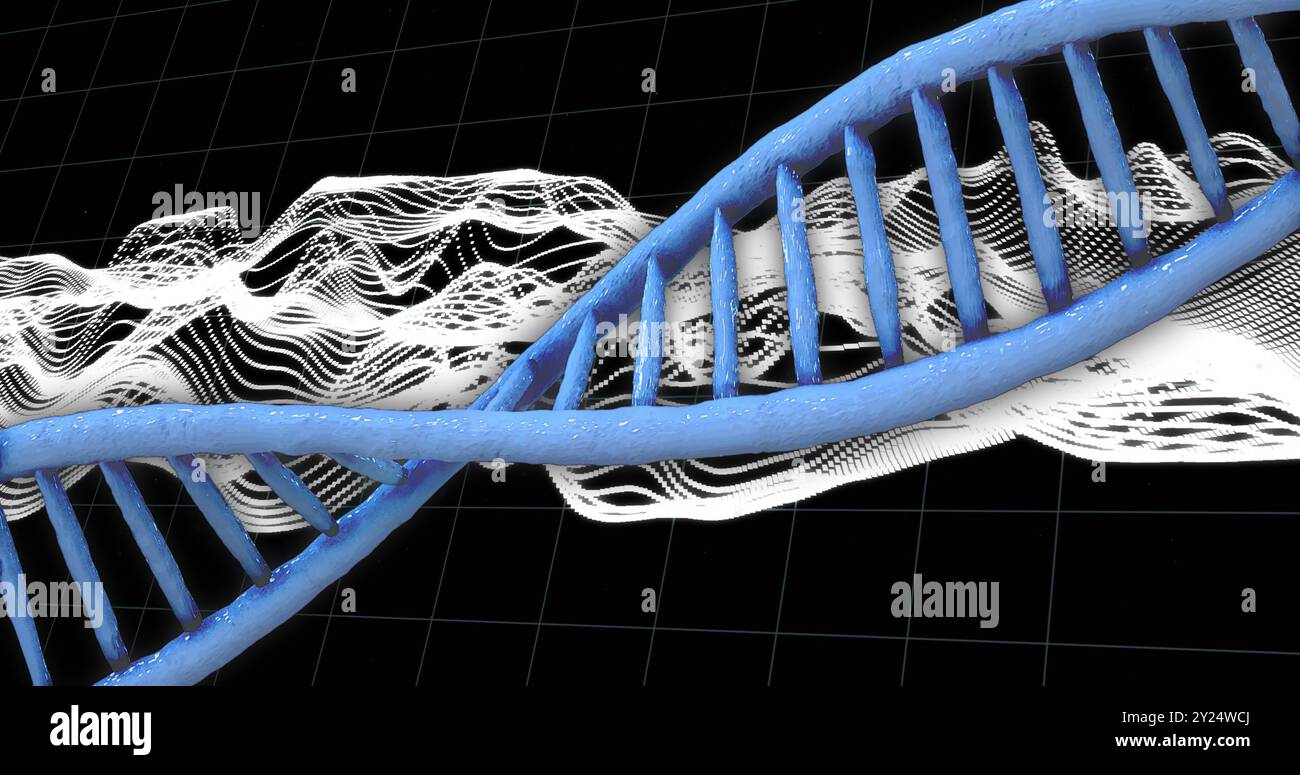 DNA strand over dynamic wave patterns and grid background, scientific ...