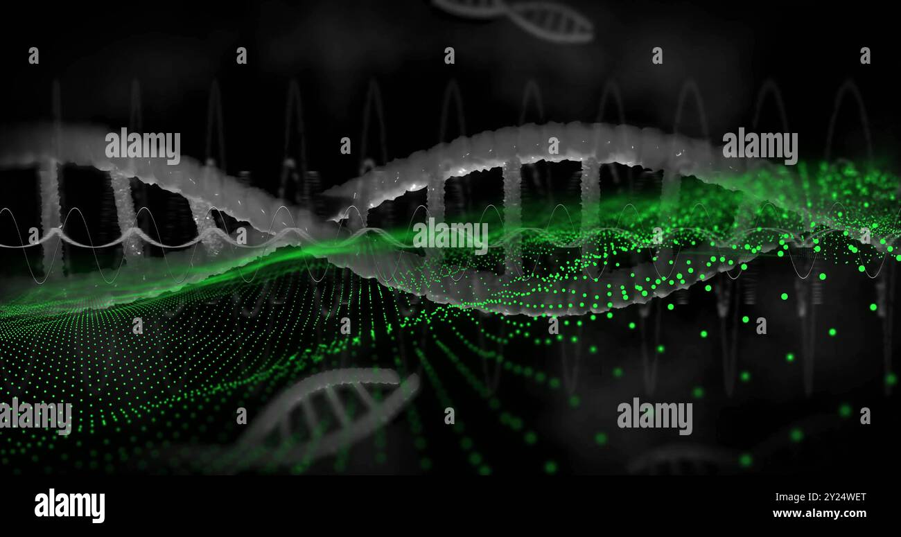 DNA strand and green data waves, scientific image over black background ...