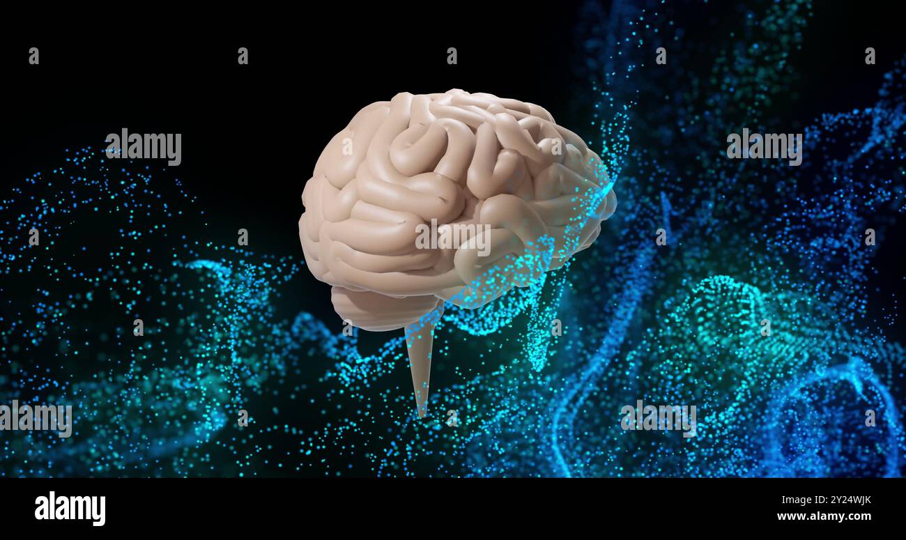 Image of digital brain spinning over blue spots Stock Photo - Alamy