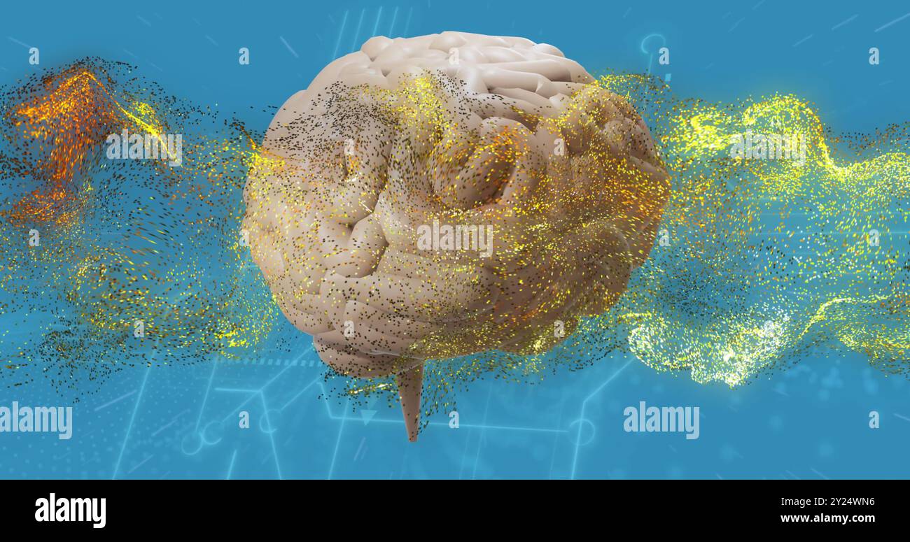 Image digital brain spinning hi-res stock photography and images - Alamy