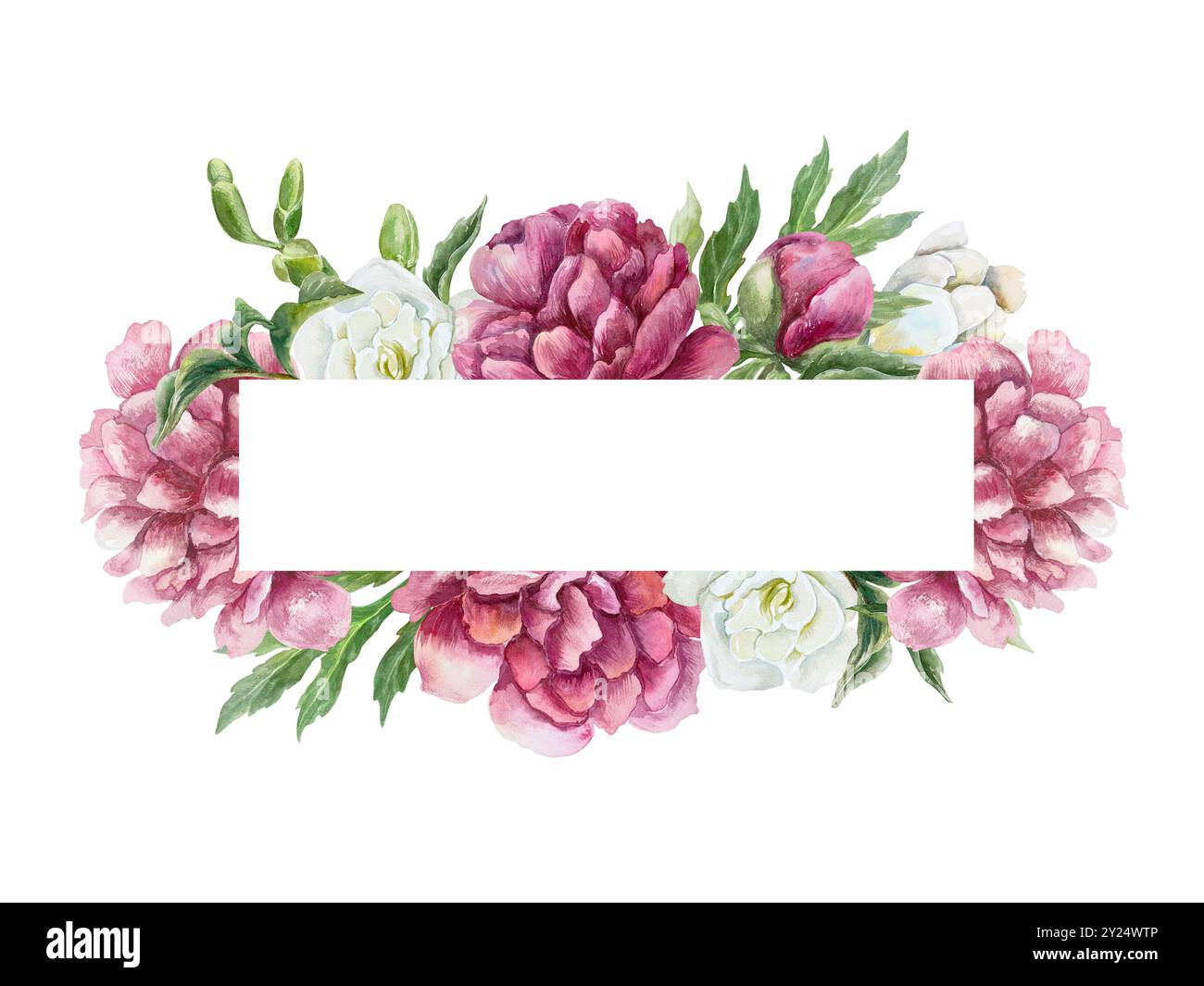 Horizontal frame with peonies, freesia. Template for text. Hand drawn ...