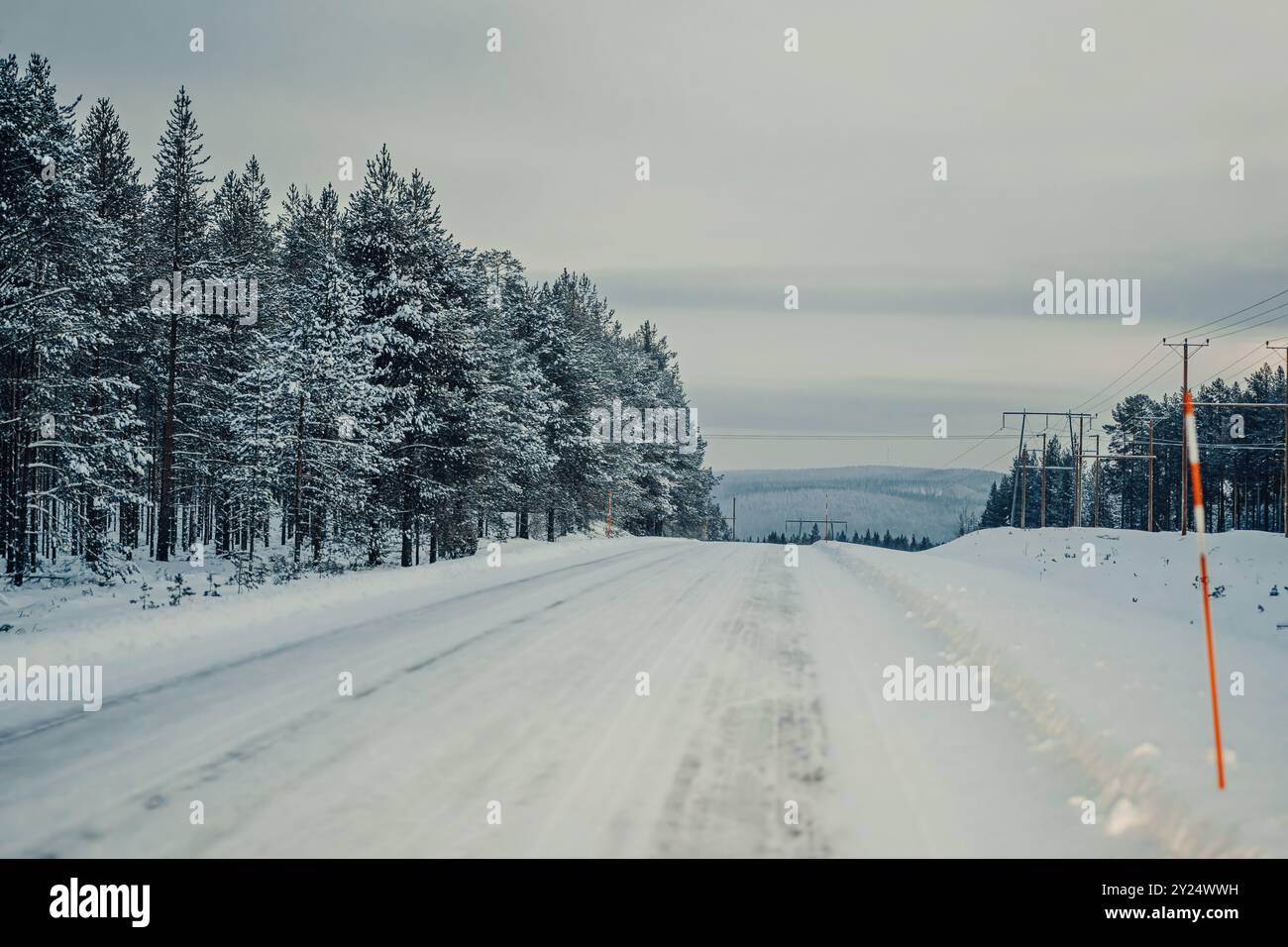 Driving down road next to winter wonderland forest in Rovaniemi, Lapland winter Stock Photo - Alamy