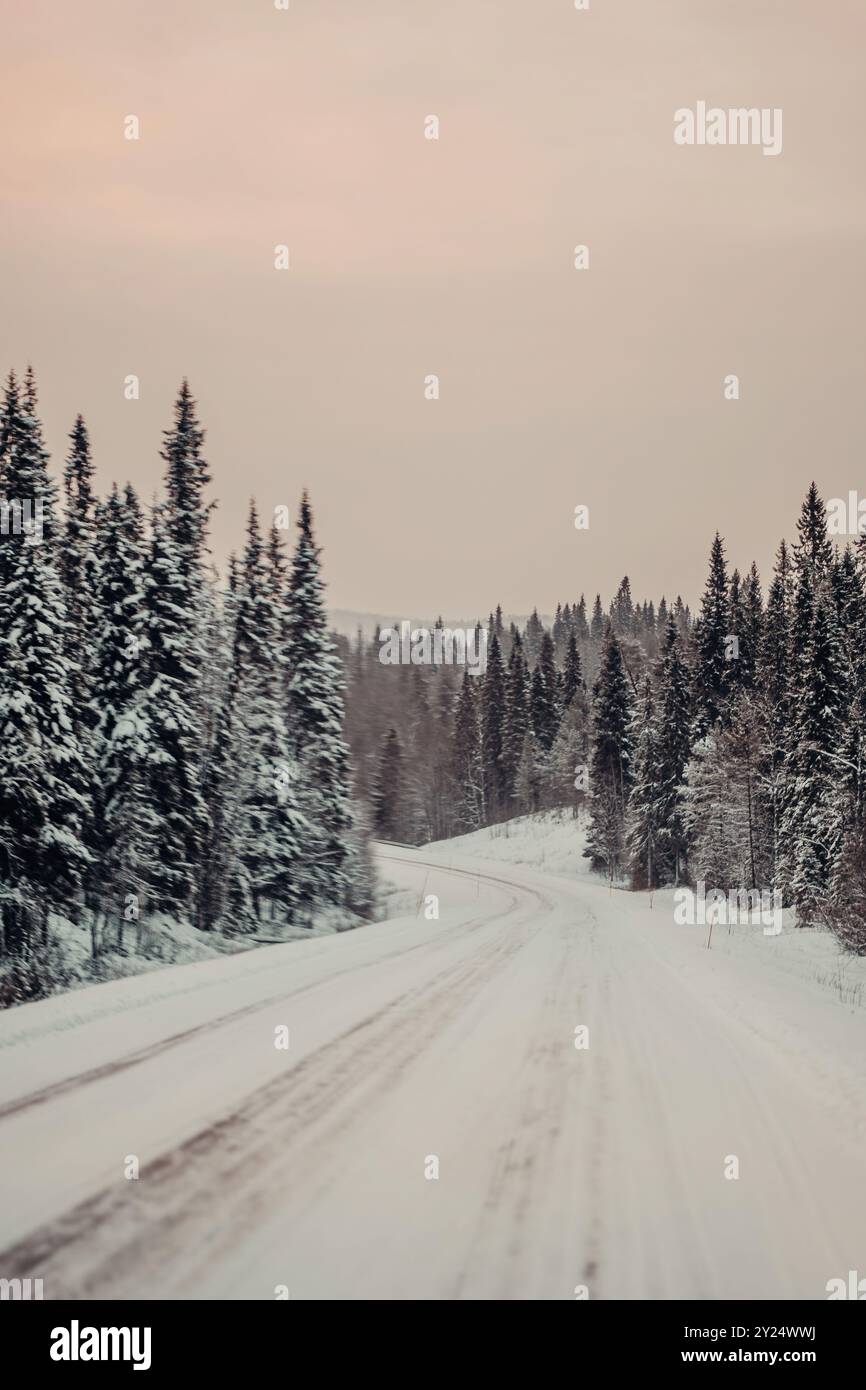 Driving on road through snowy Lappish forest at sunrise in Rovaniemi ...