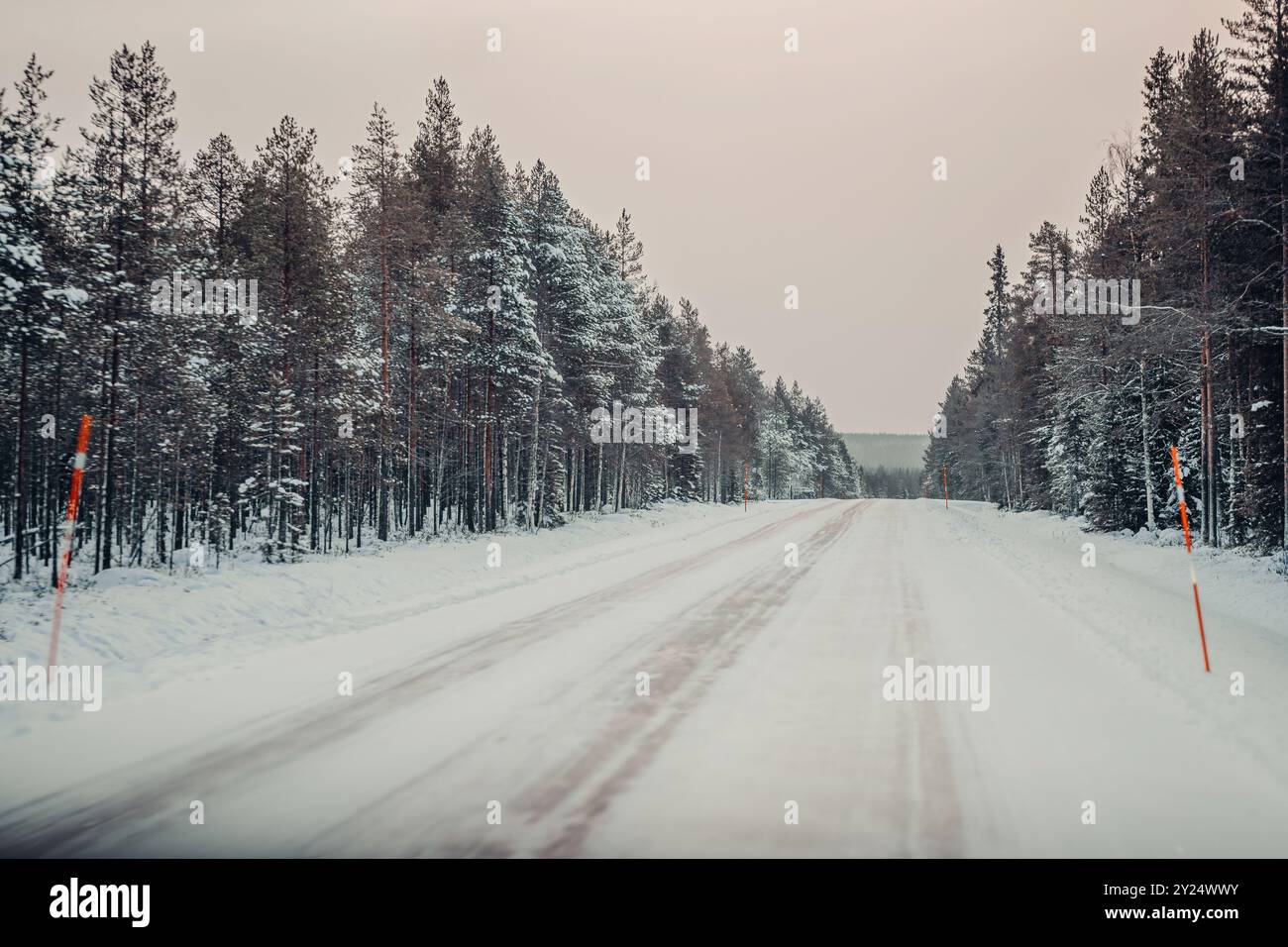 Driving through arctic wilderness at dawn in Rovaniemi, Lapland in ...