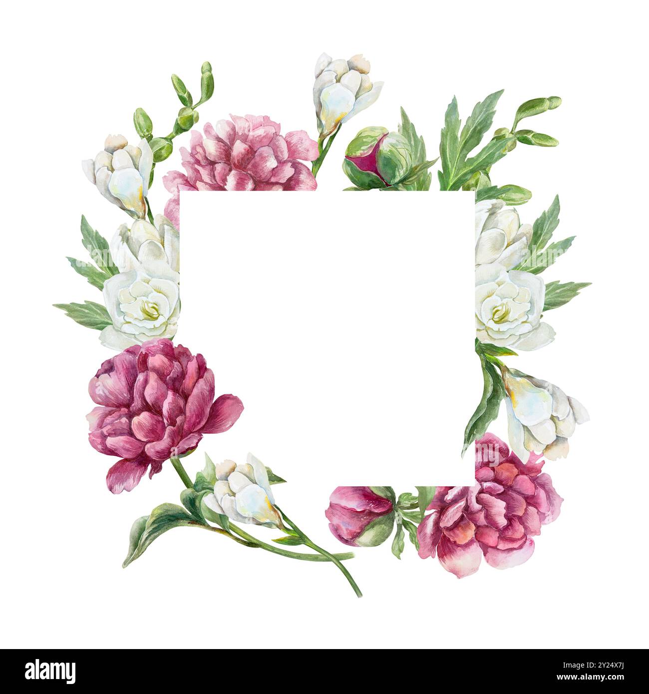 Square frame with burgundy peonies, white freesia. Hand drawn ...