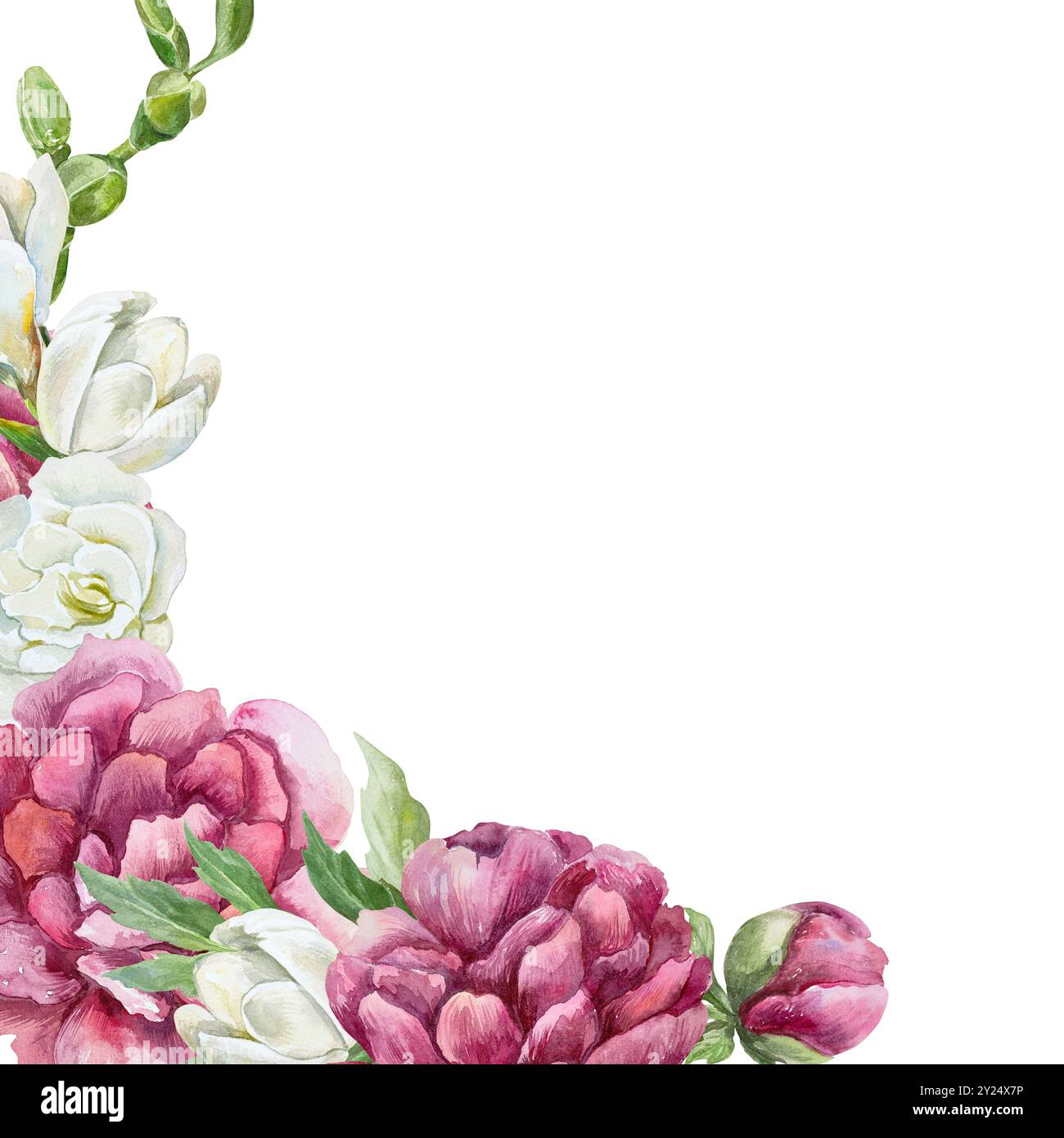 Floral frame with lush peonies and delicate freesia in the corner. Hand ...