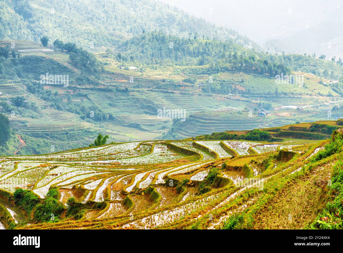 Scenic view of mirror rice terraces filled with water, Vietnam Stock ...
