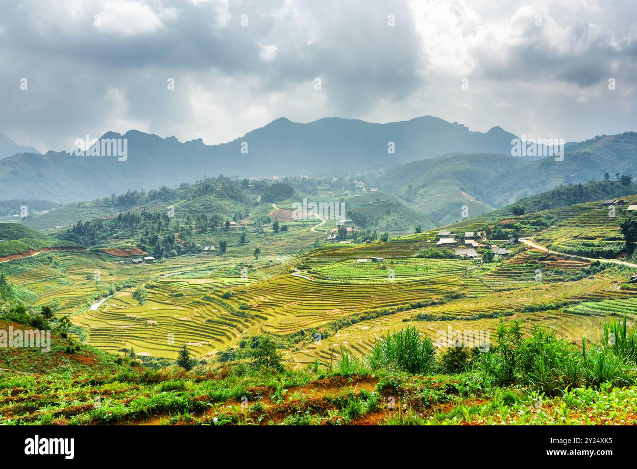 Scenic view of green rice terraces at highlands of Vietnam Stock Photo ...