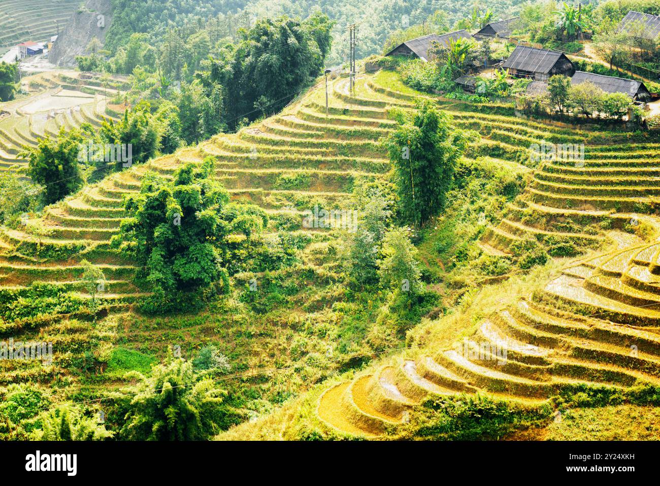 View of rice terraces and small village at highlands in Vietnam Stock ...