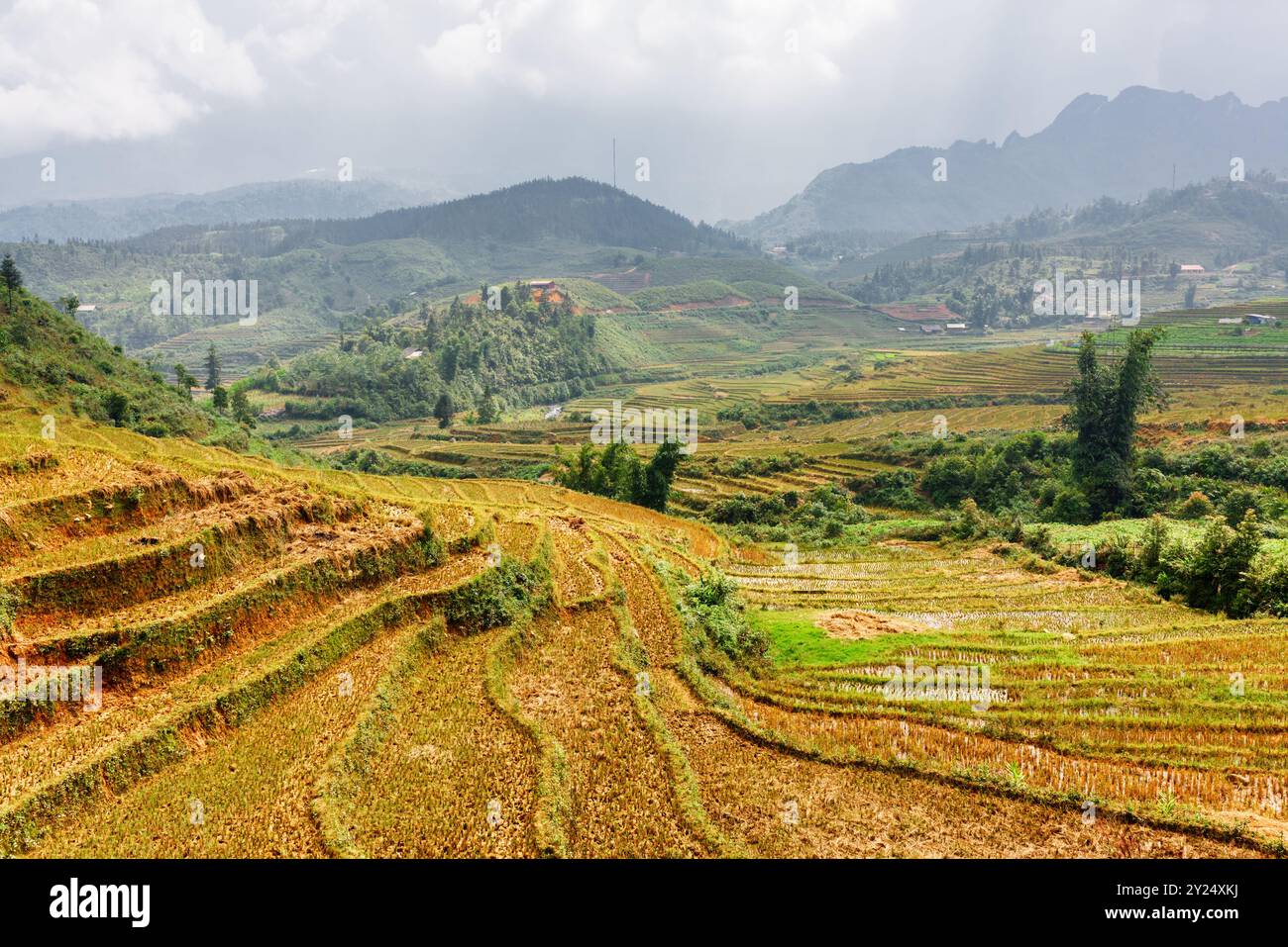 View of rice terraces at highlands of Sa Pa District, Vietnam Stock ...