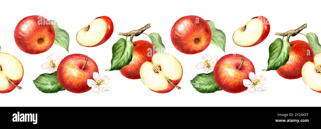 Fresh Apple fruit fall seamless border. Hand drawn watercolor ...