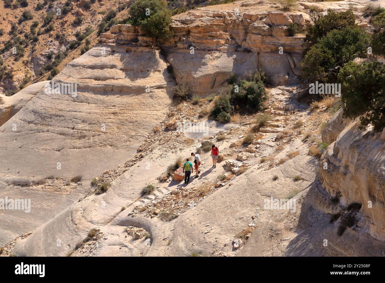Dana Biosphere Nature Reserve in Jordan - May 12 2024: People are ...