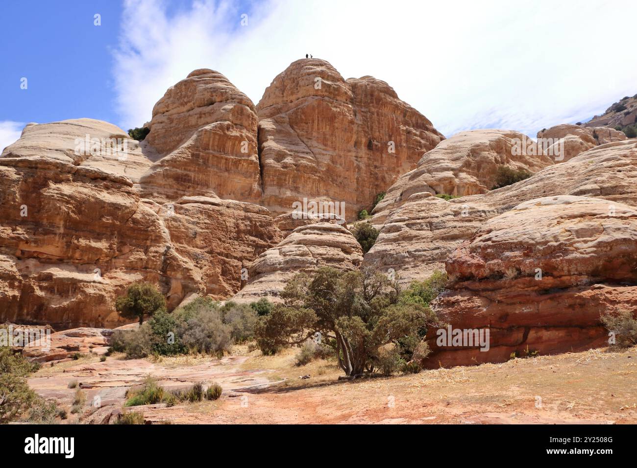 Dana Biosphere Nature Reserve in Jordan - May 12 2024: People are ...