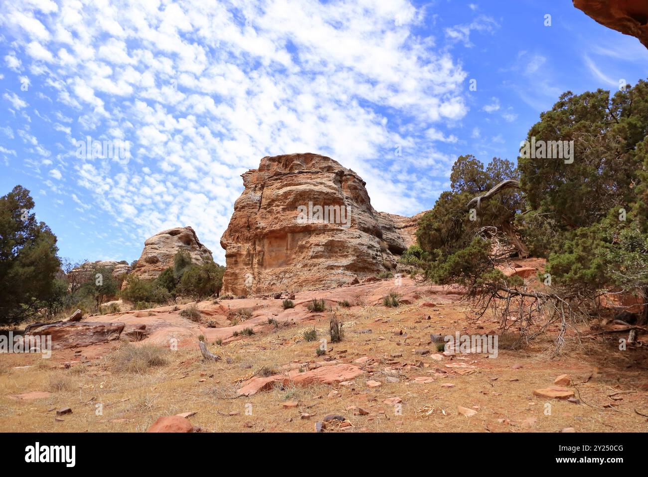 Typical landscape and rock forms in the Dana Biosphere Nature Reserve ...