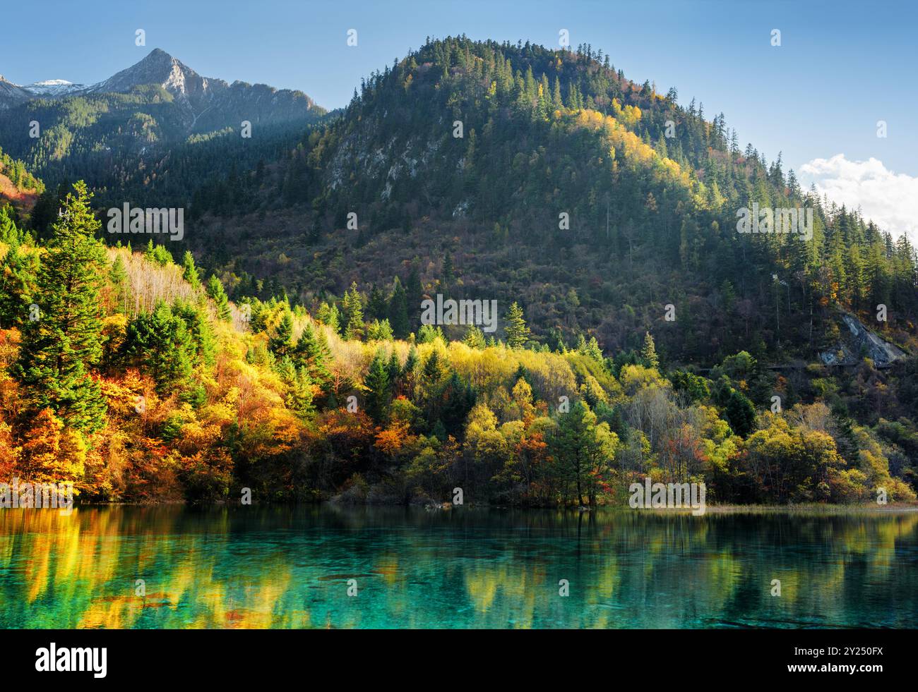 Amazing view of scenic wooded mountains and the Five Flower Lake Stock ...