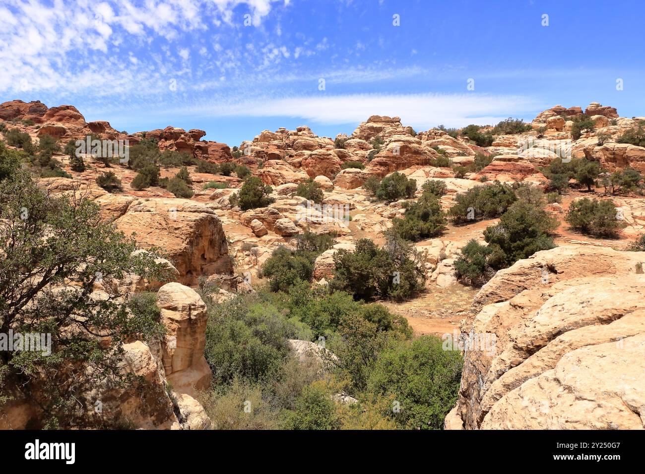view of the landscape of Dana Biosphere Nature Reserve National Park ...