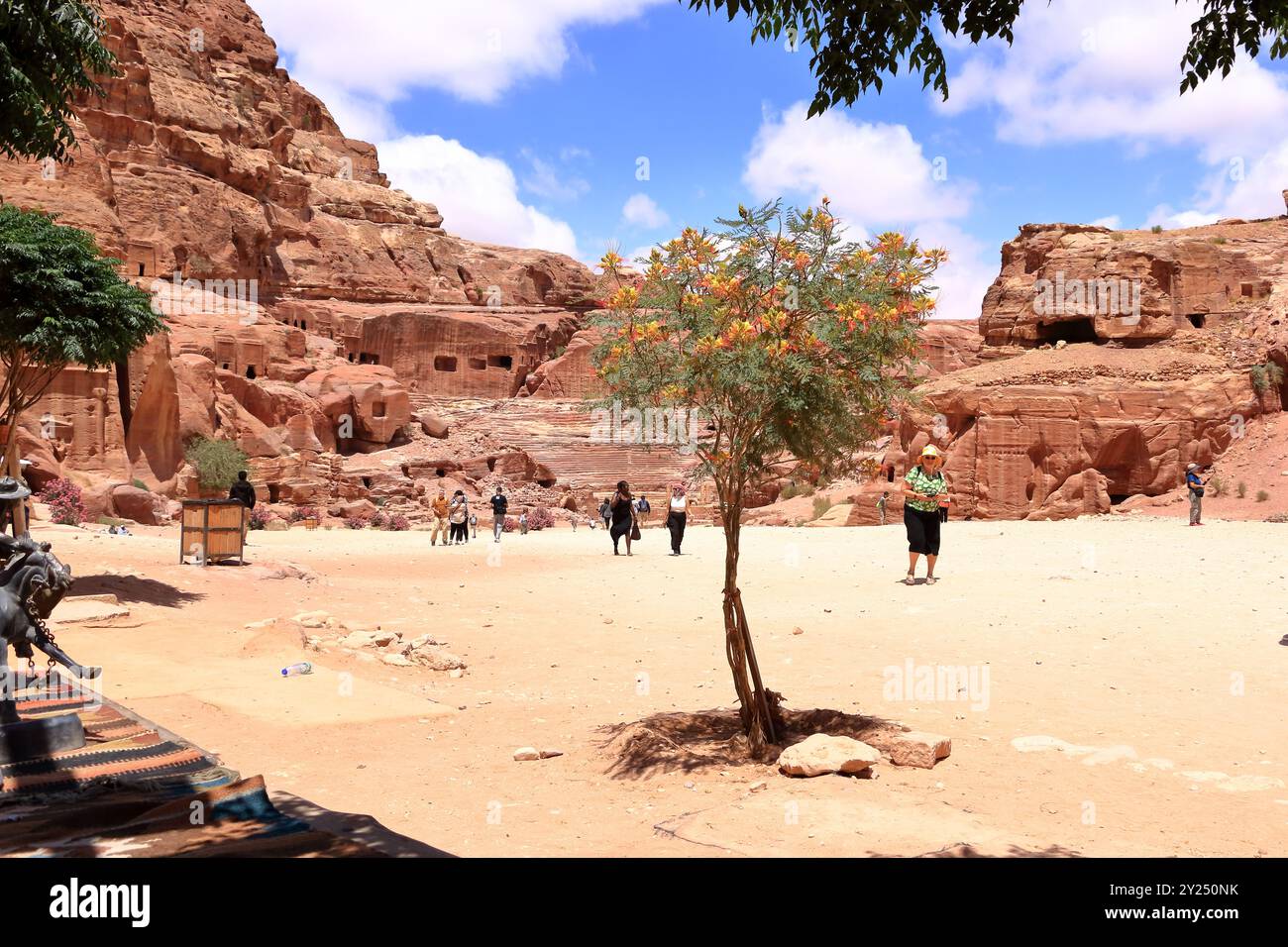 Petra, Wadi Musa in Jordan - May 13 2024: beautiful blooming bird of ...