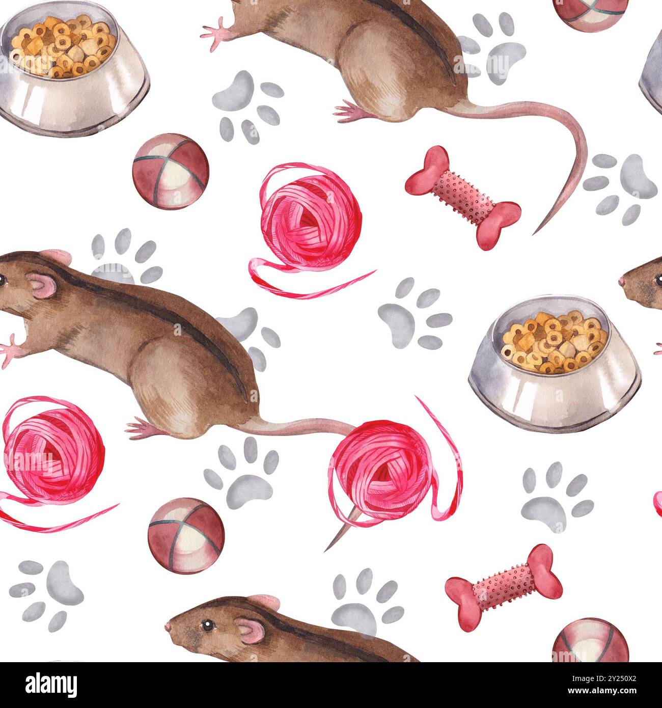 Pets, brown rats with black stripes with a bowl of food, toys, balls ...