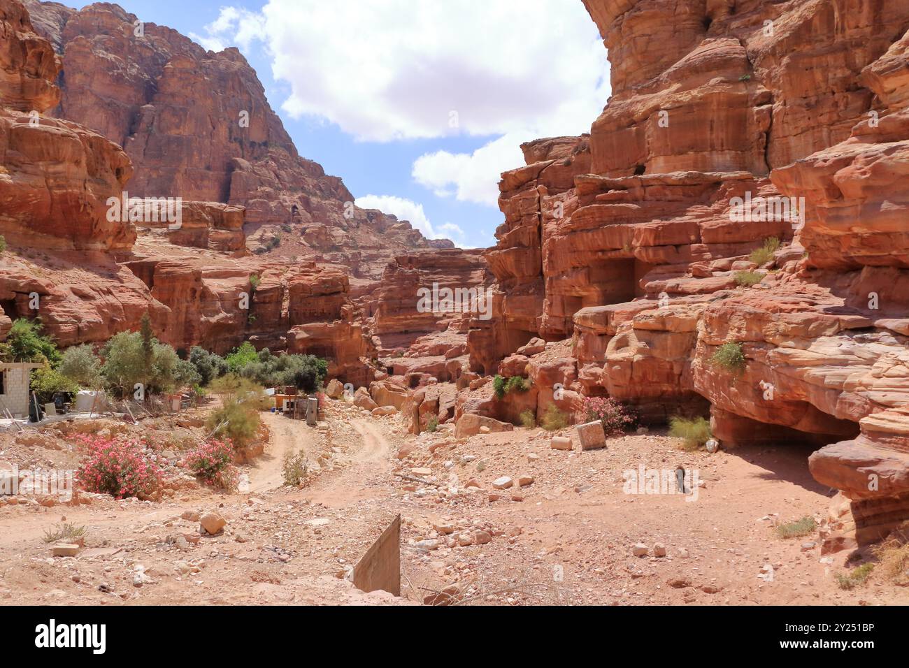 footpath in the rock along Ad-Deir Trail Monastery Route in the ...