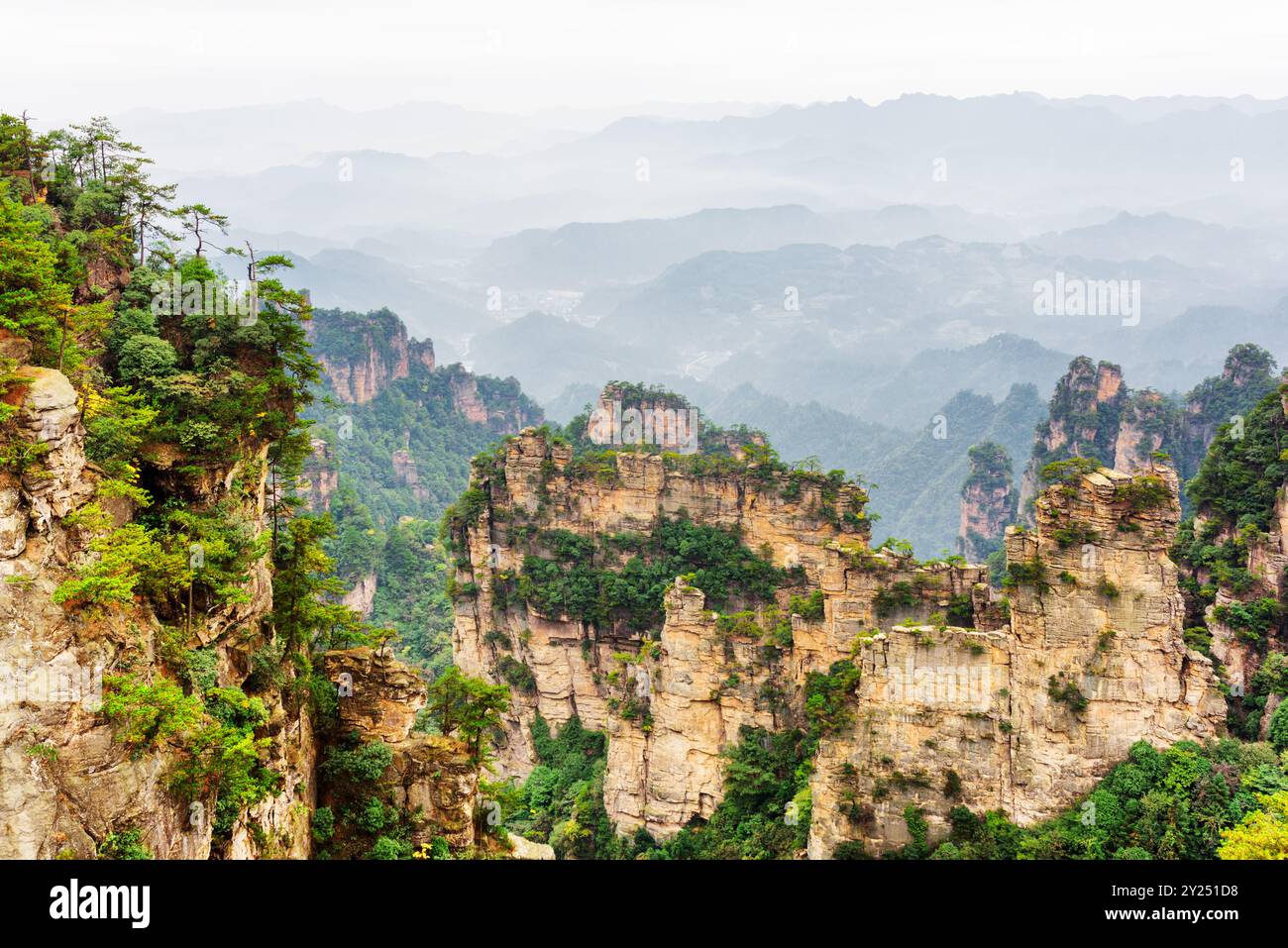 Scenic narrow and towering wall of rock (Avatar Mountains Stock Photo ...