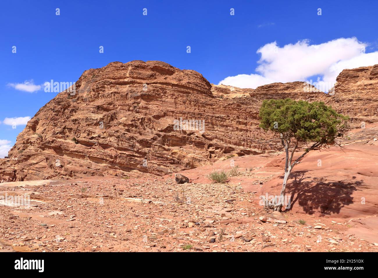 Scenic landscape view from the Ad-Deir Trail Monastery Route in the ...