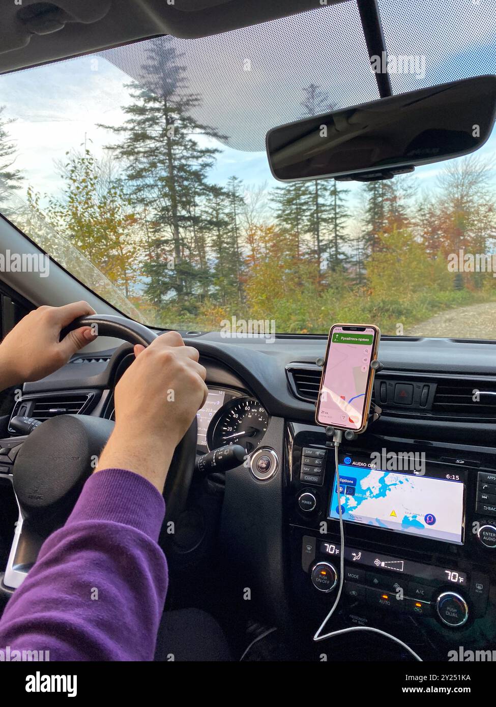 Driving Through a Scenic Forest Road Stock Photo - Alamy