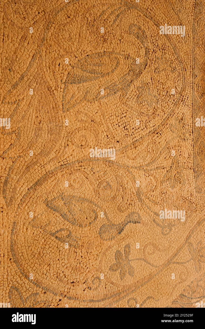 Basilica of Fornàs de Torelló, mosaics, 5th-6th century. Mahon. Minorca ...