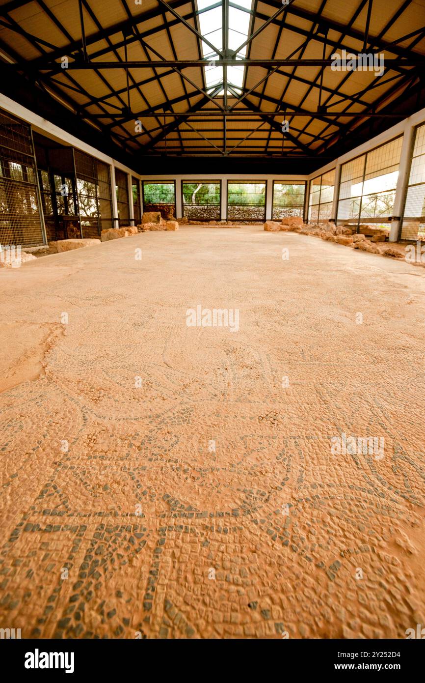 Basilica of Fornàs de Torelló, mosaics, 5th-6th century. Mahon. Minorca ...