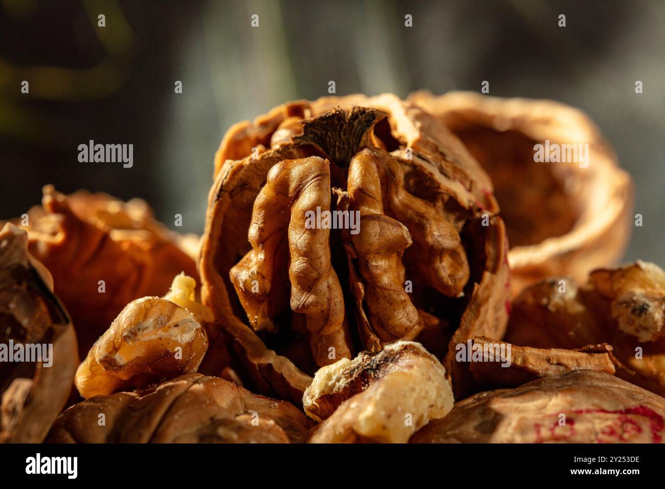 Enticing close up food still life of plump Walnuts with negative space ...