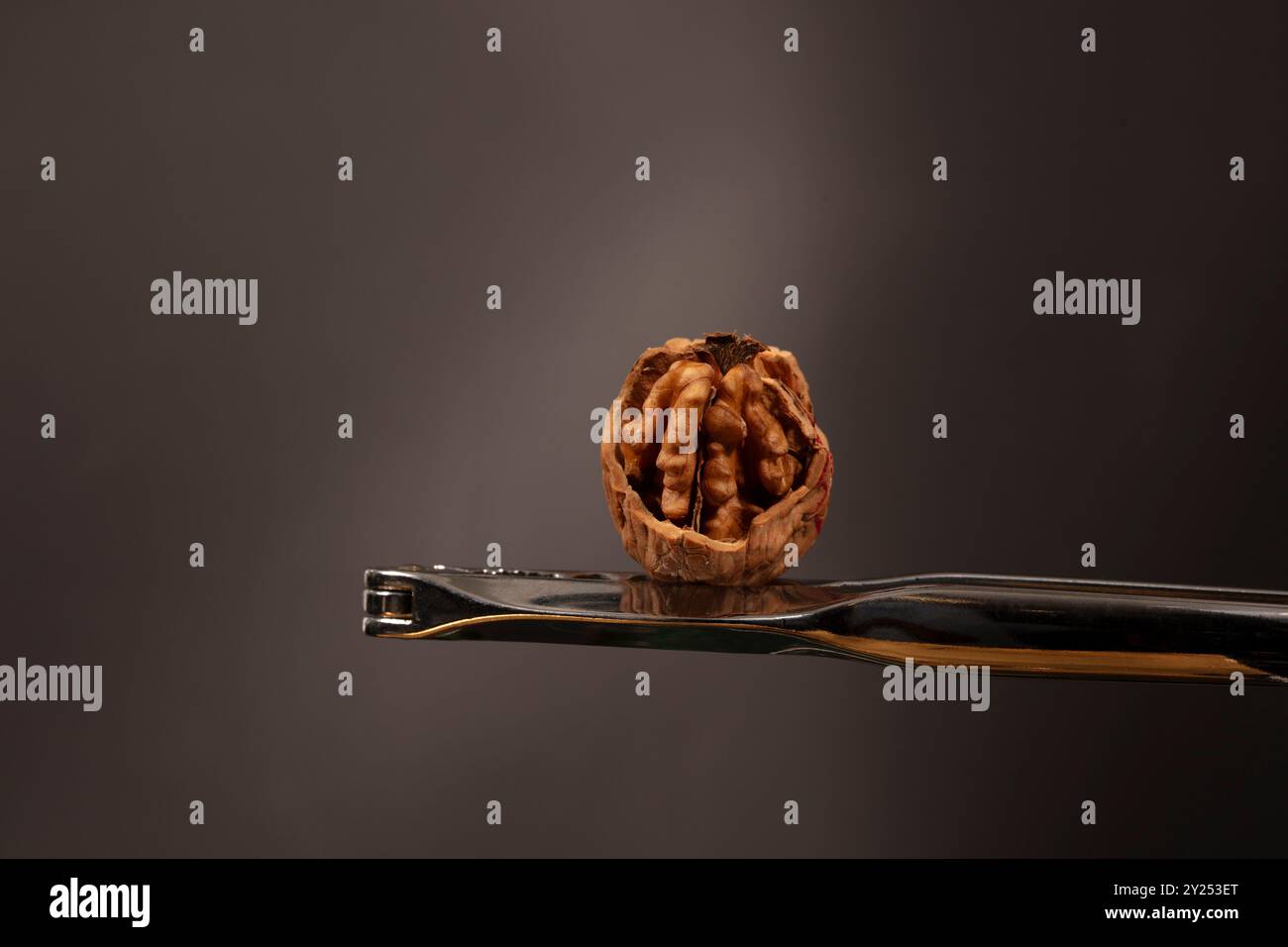 Enticing close up food still life of plump Walnuts with negative space ...