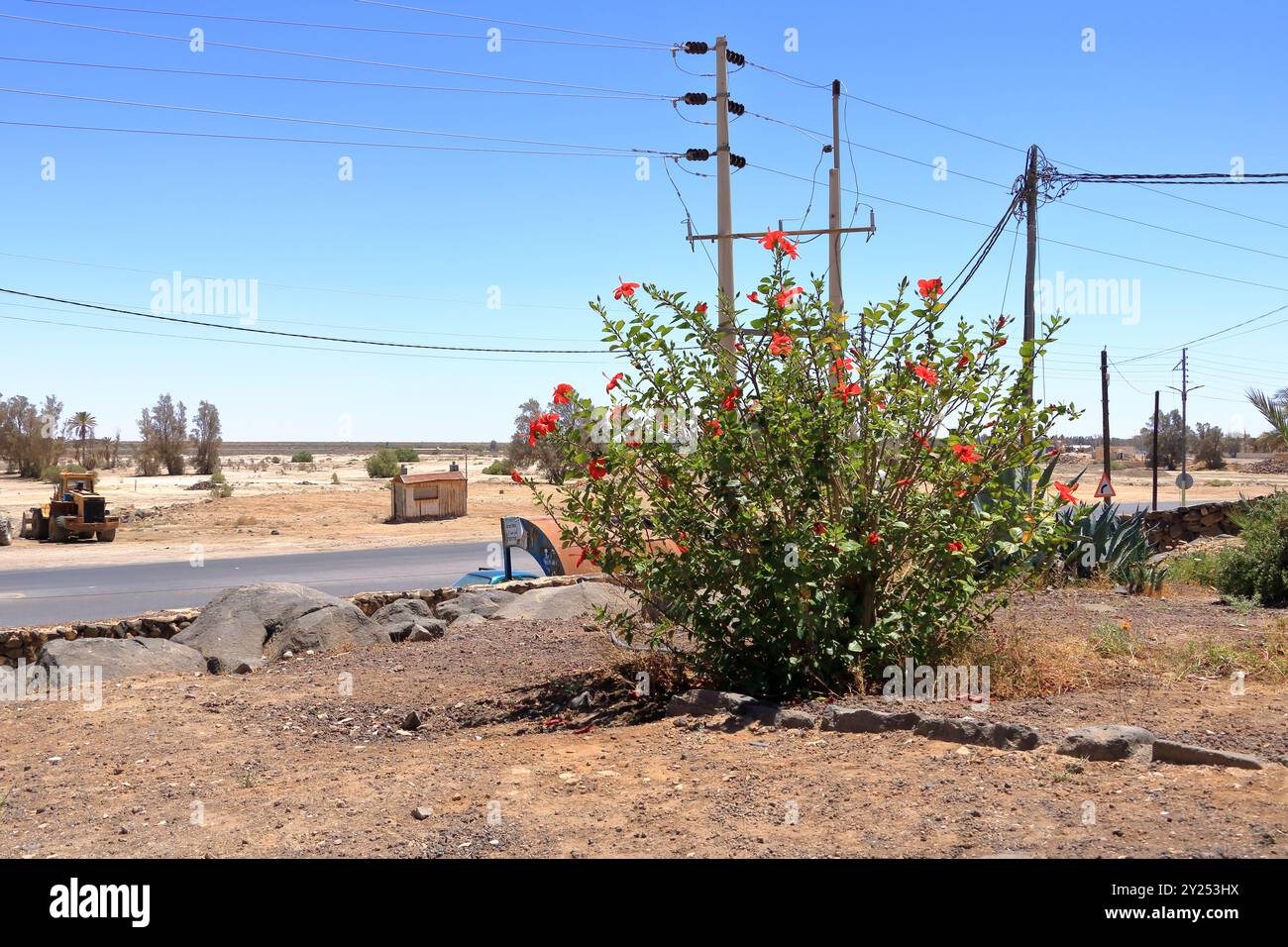 Al-Azraq in Jordan - May 08 2024: the small town in eastern jordan on ...