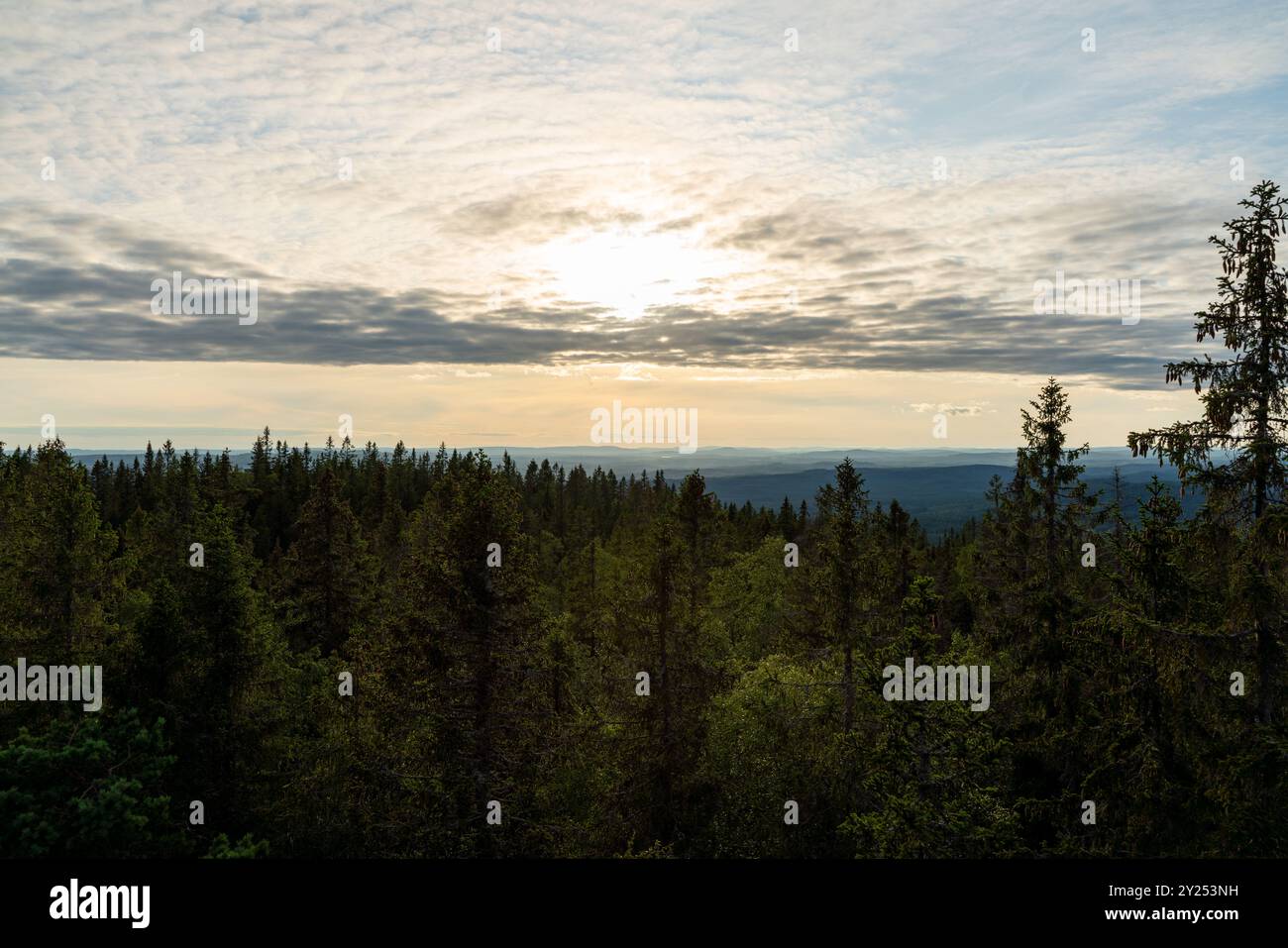 Beautiful scenic idyllic nordic swedish scandinavian rural countryside ...