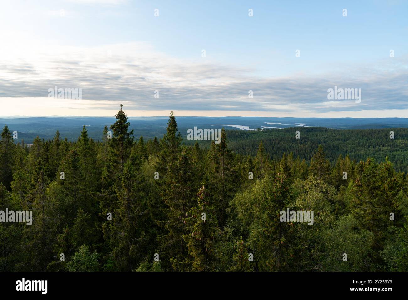 Beautiful scenic idyllic nordic swedish scandinavian rural countryside ...