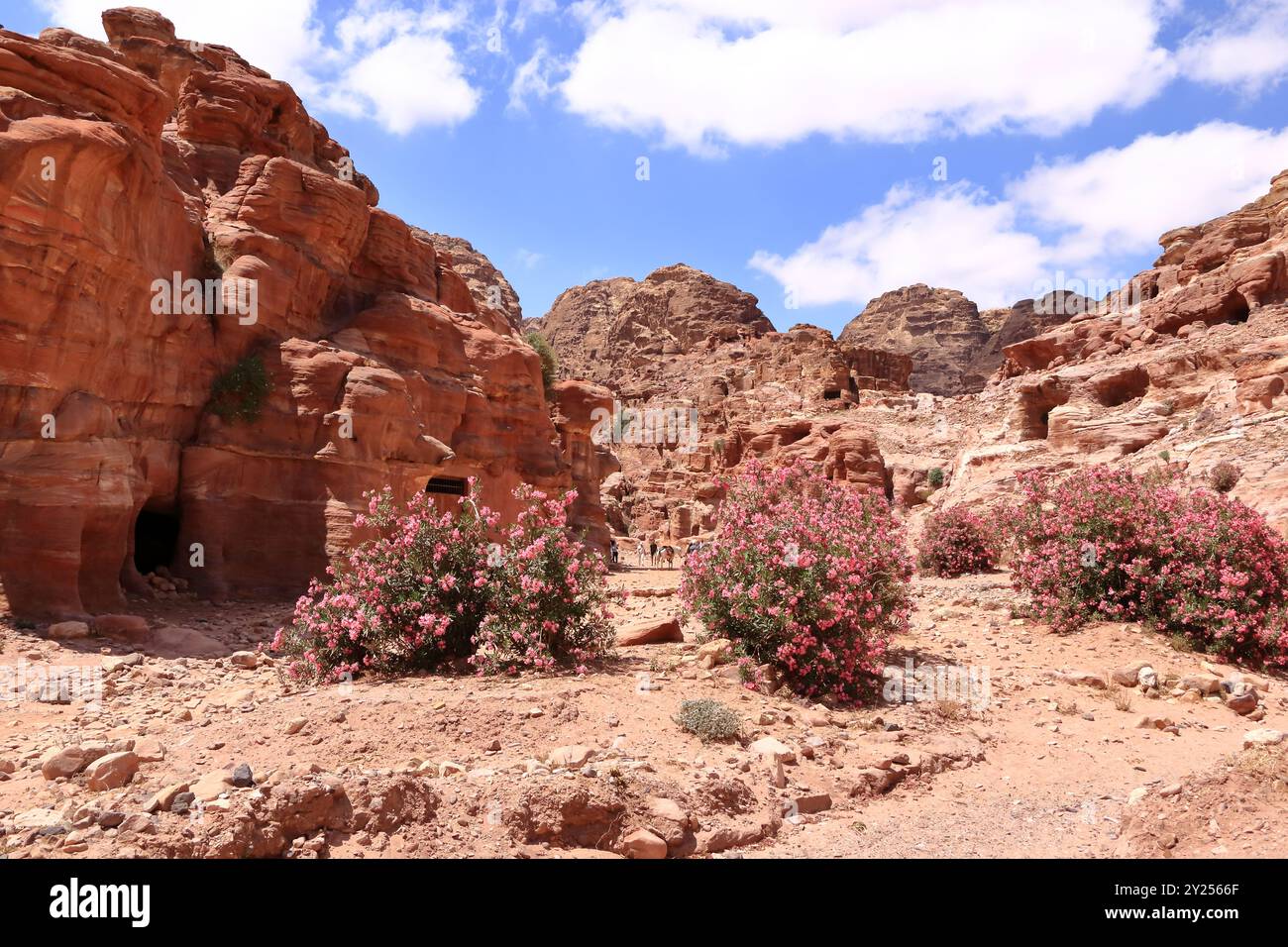Petra, Wadi Musa in Jordan - May 13 2024: people at the footpath in the ...