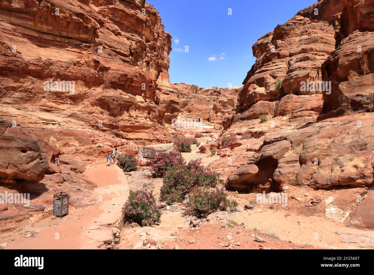 Petra, Wadi Musa in Jordan - May 13 2024: people at the footpath in the ...