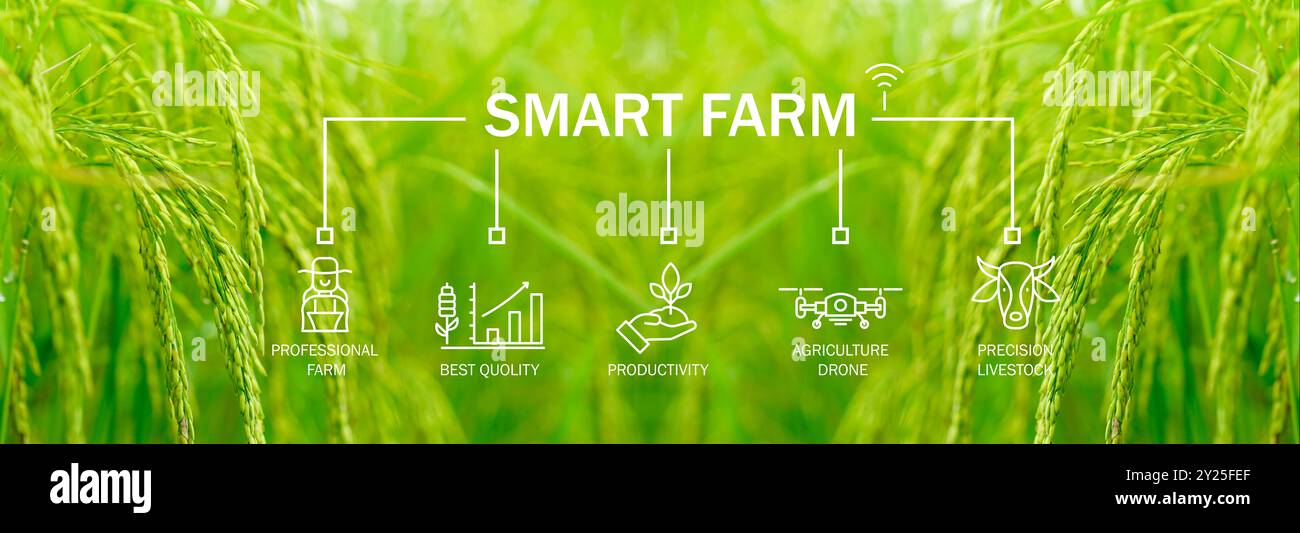 Smart farm technology meets agricultural expertise. Precision livestock ...
