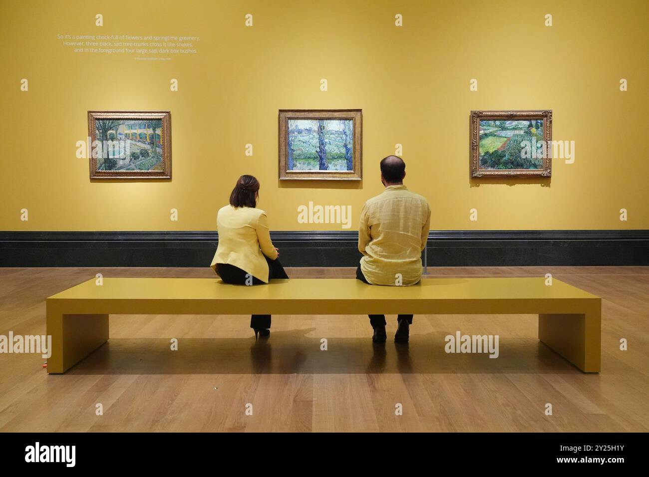 Vincent van gogh hospital arles hi-res stock photography and images - Alamy