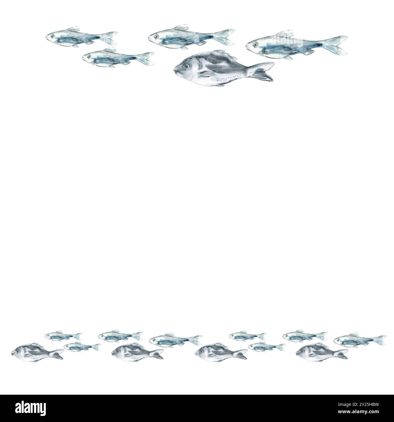 Border frame of swimming fish in the lane in watercolor. A flock of ...