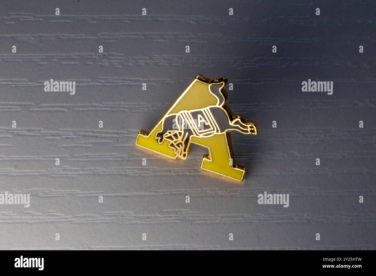 ARMY WEST POINT BLACK KNIGHTS KICKING MULE Pin, 2024 Stock Photo - Alamy