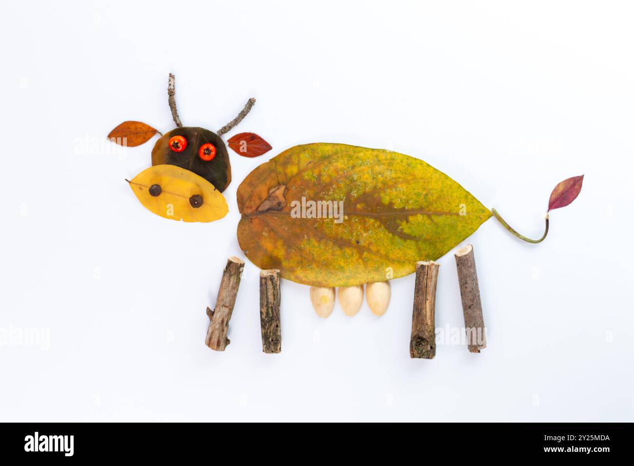 autumn nature craft for kids, cow made of leaf, top view, activity for ...